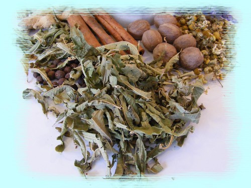 Lemon Verbena, one of the Herbs and Spices from Crete – Home Of The ...